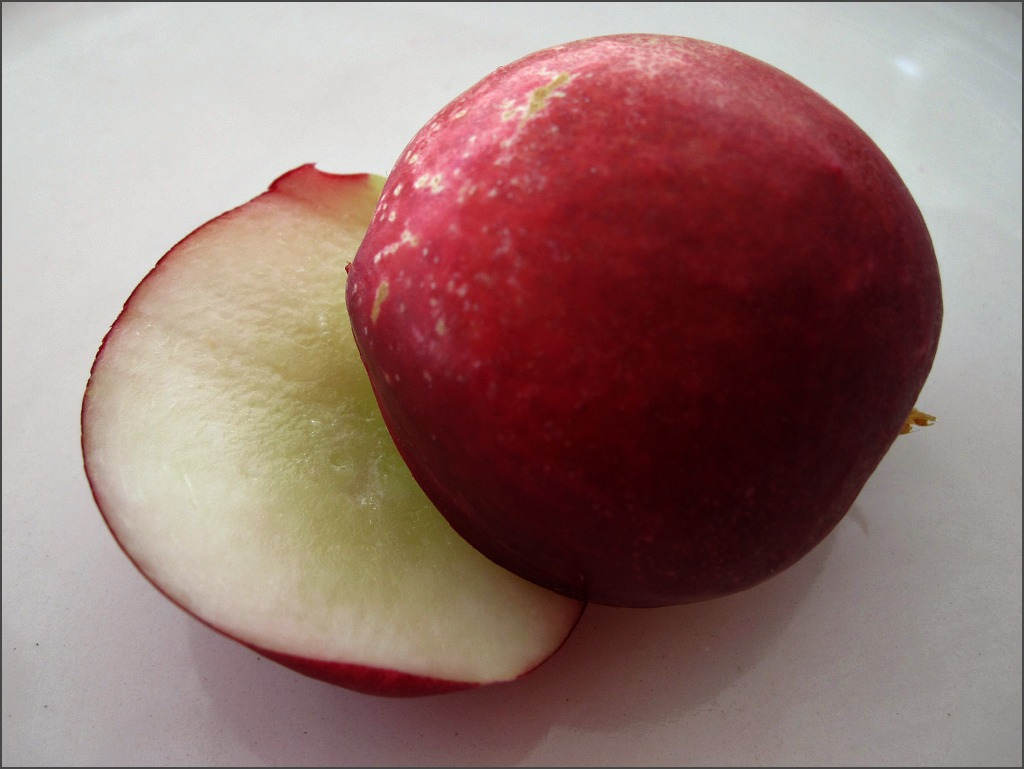 Nectarine – Artic Jay – Sunnyvale-Garden