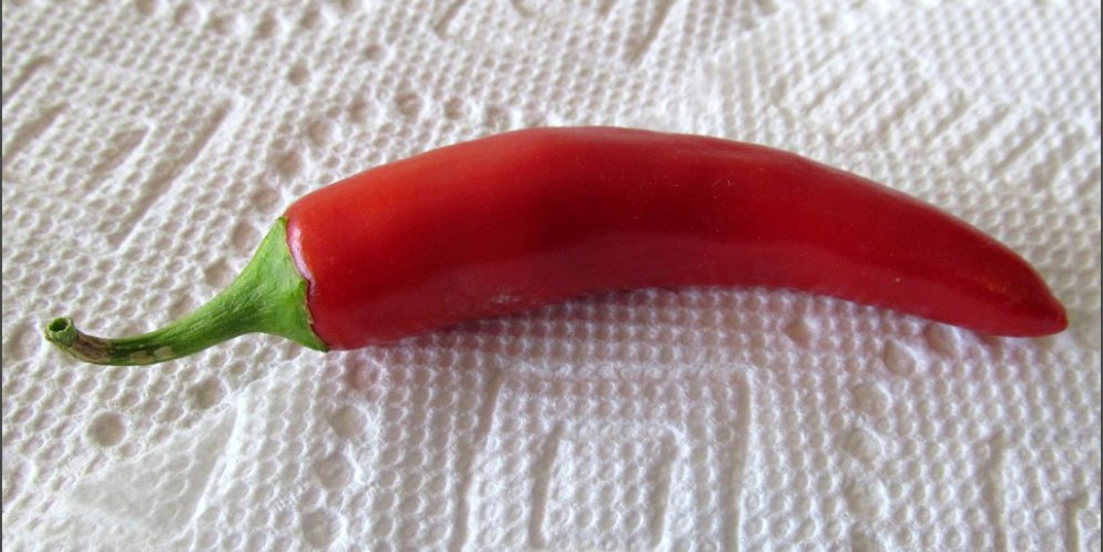 Chile – Cayenne Red – Sunnyvale-Garden