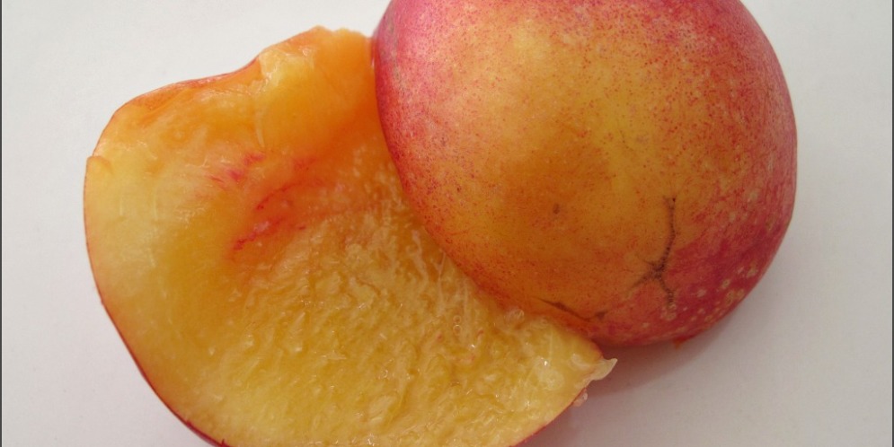 Double Delight Nectarine – Sunnyvale-Garden
