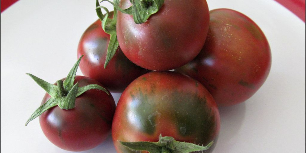 Tomato – Violet Jasper – Sunnyvale-Garden