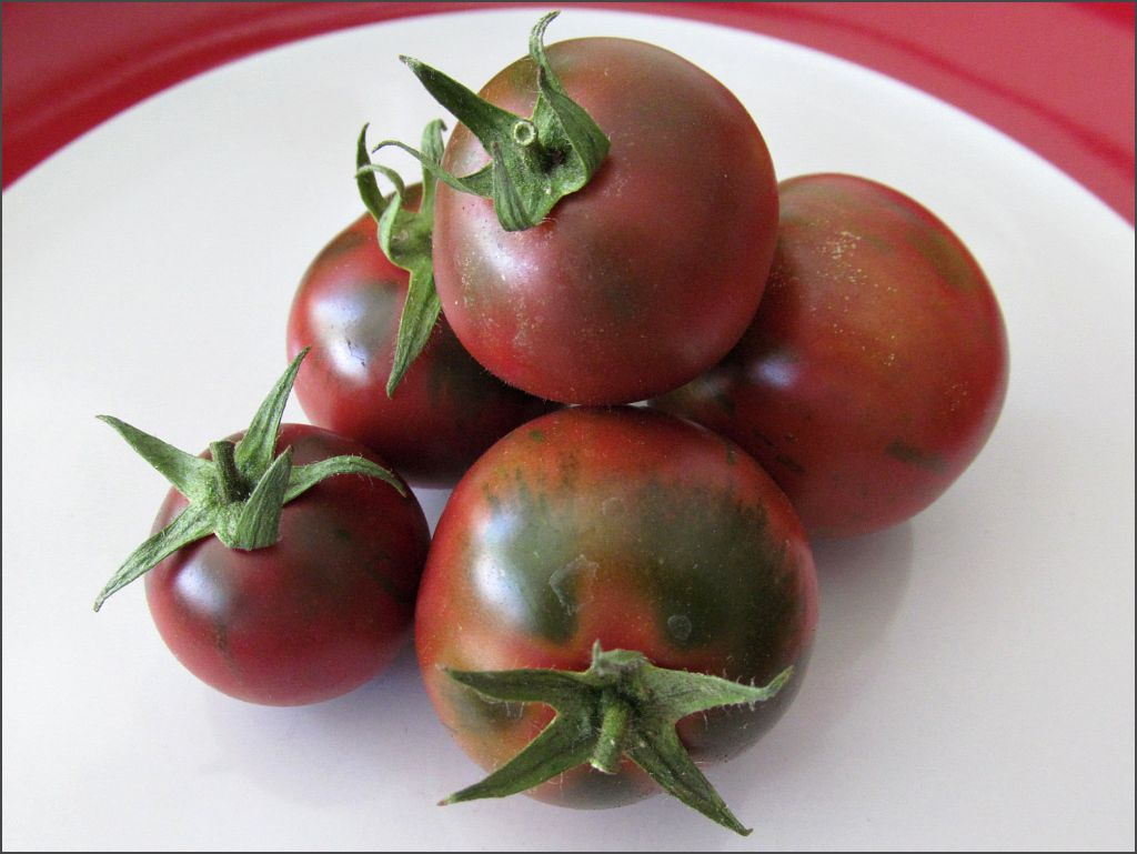 Tomato – Violet Jasper – Sunnyvale-Garden