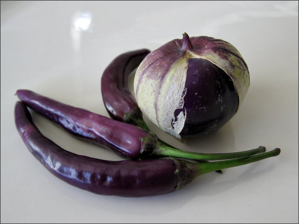 Chile – Purple Cayenne – Sunnyvale-Garden