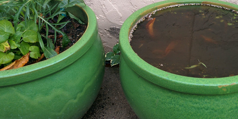 Drainage for Pots – Sunnyvale-Garden