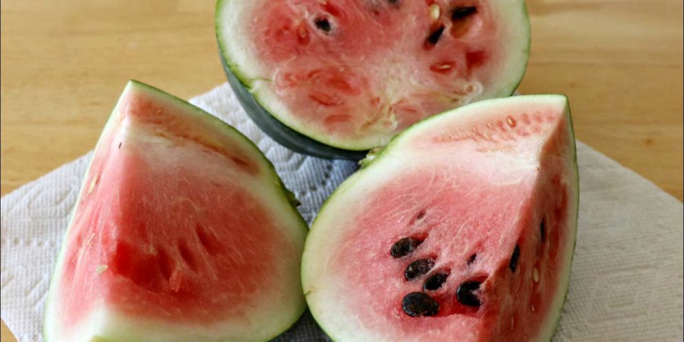 Watermelon – Moon & Stars – Sunnyvale-Garden