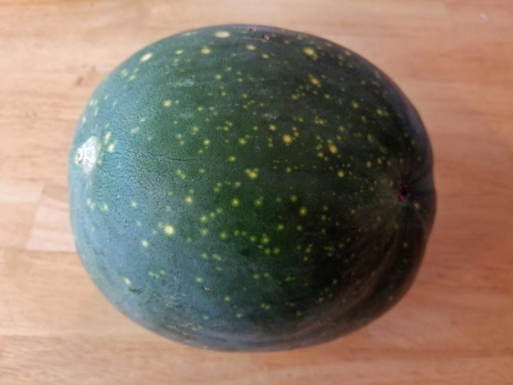 Watermelon – Moon & Stars – Sunnyvale-Garden