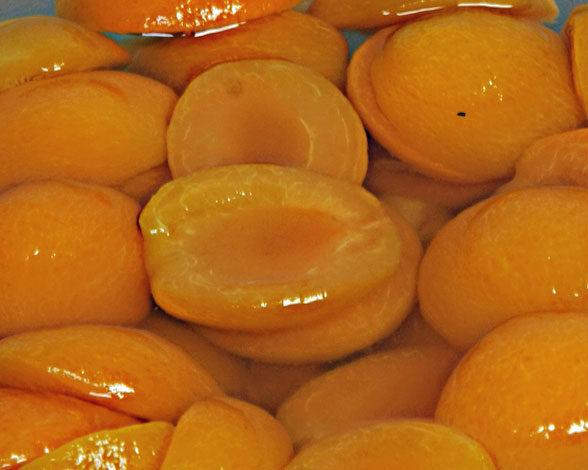 Canning Apricots – Sunnyvale-Garden
