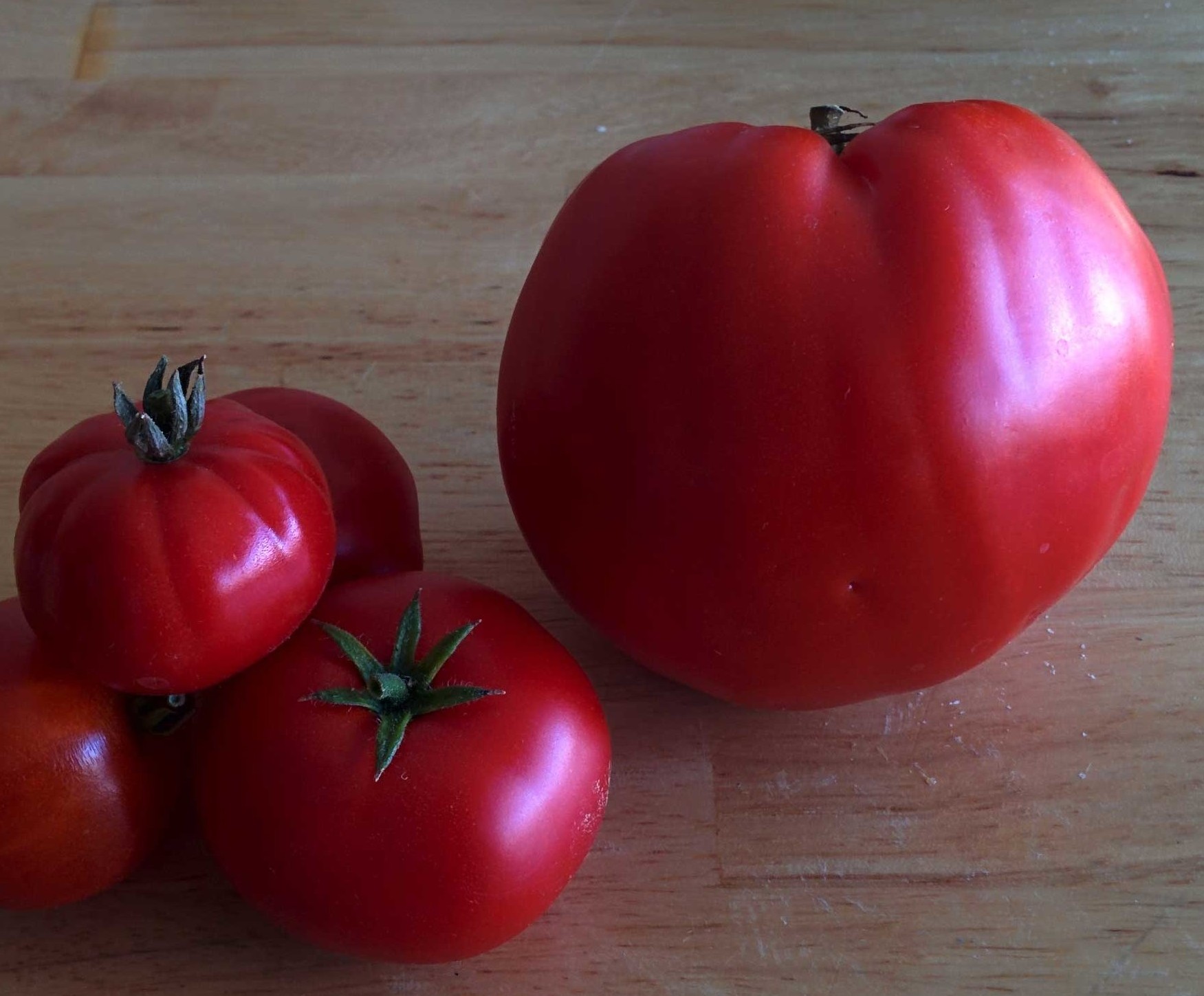 Tomato – Aussie Heart 2015 – Sunnyvale-Garden