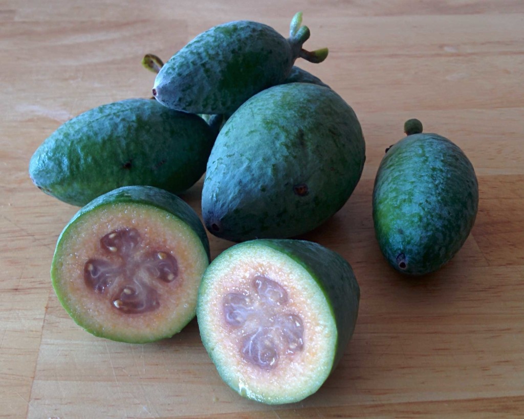 Dehydrated Feijoa – Sunnyvale-Garden