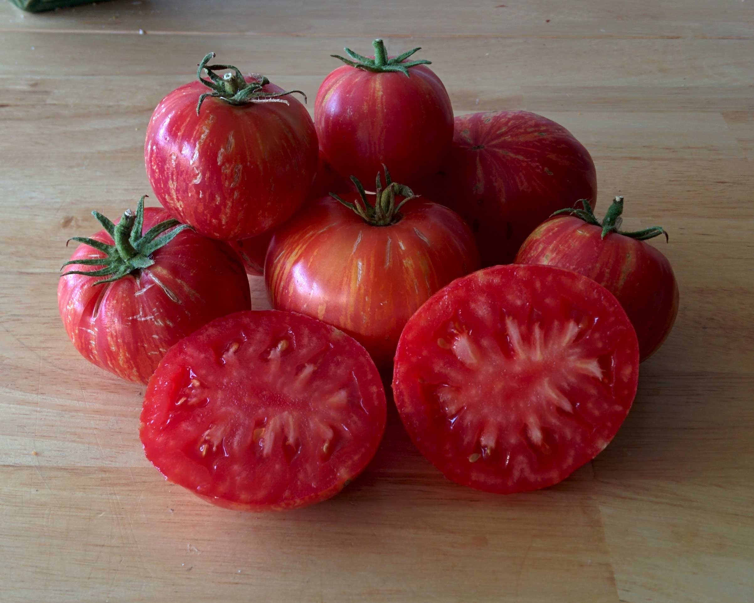 Herd of Red Zebras – Sunnyvale-Garden