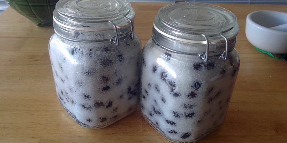 Dry-curing olives (Part 1) – Sunnyvale-Garden