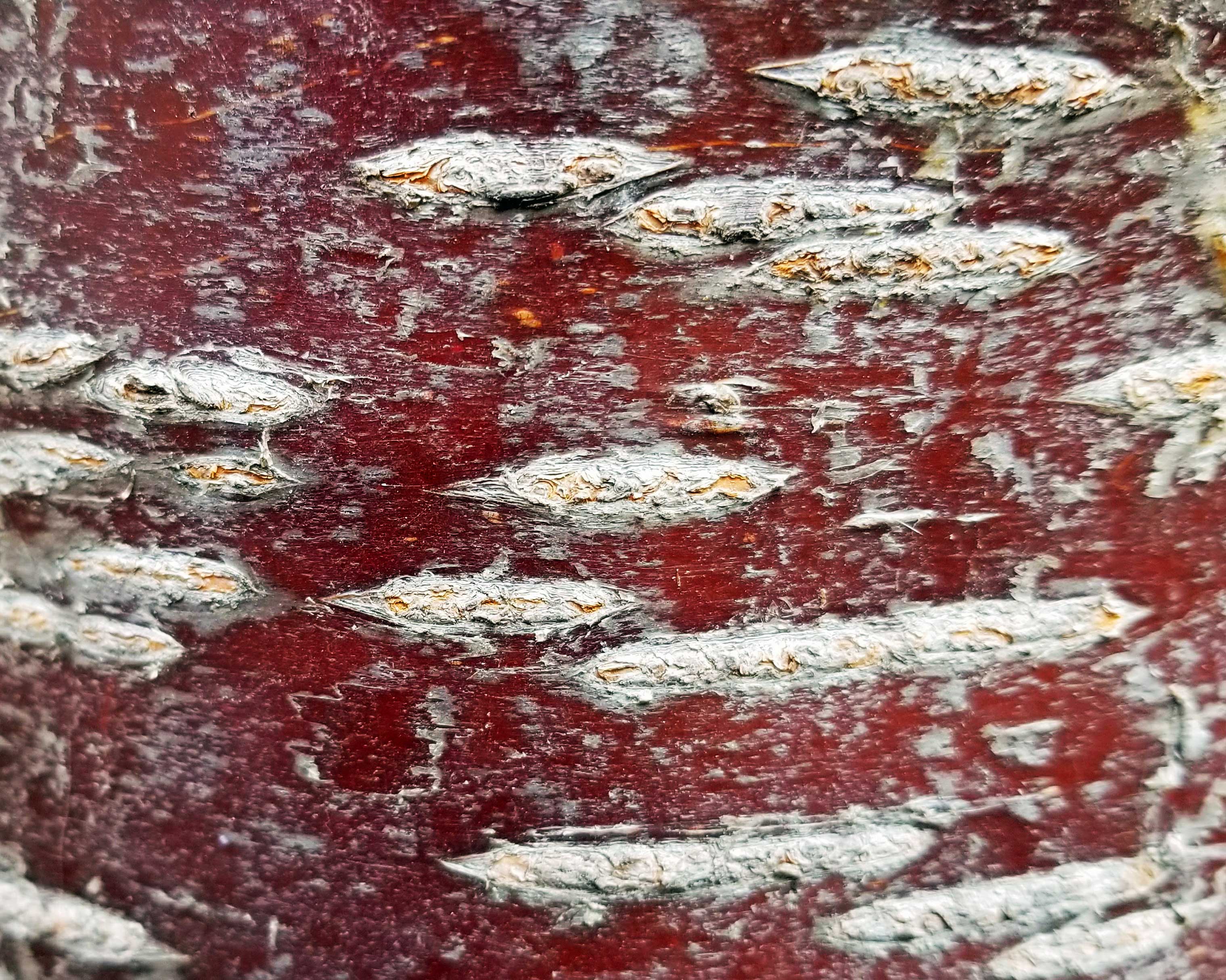 Cherry Bark Lenticels – Sunnyvale-Garden