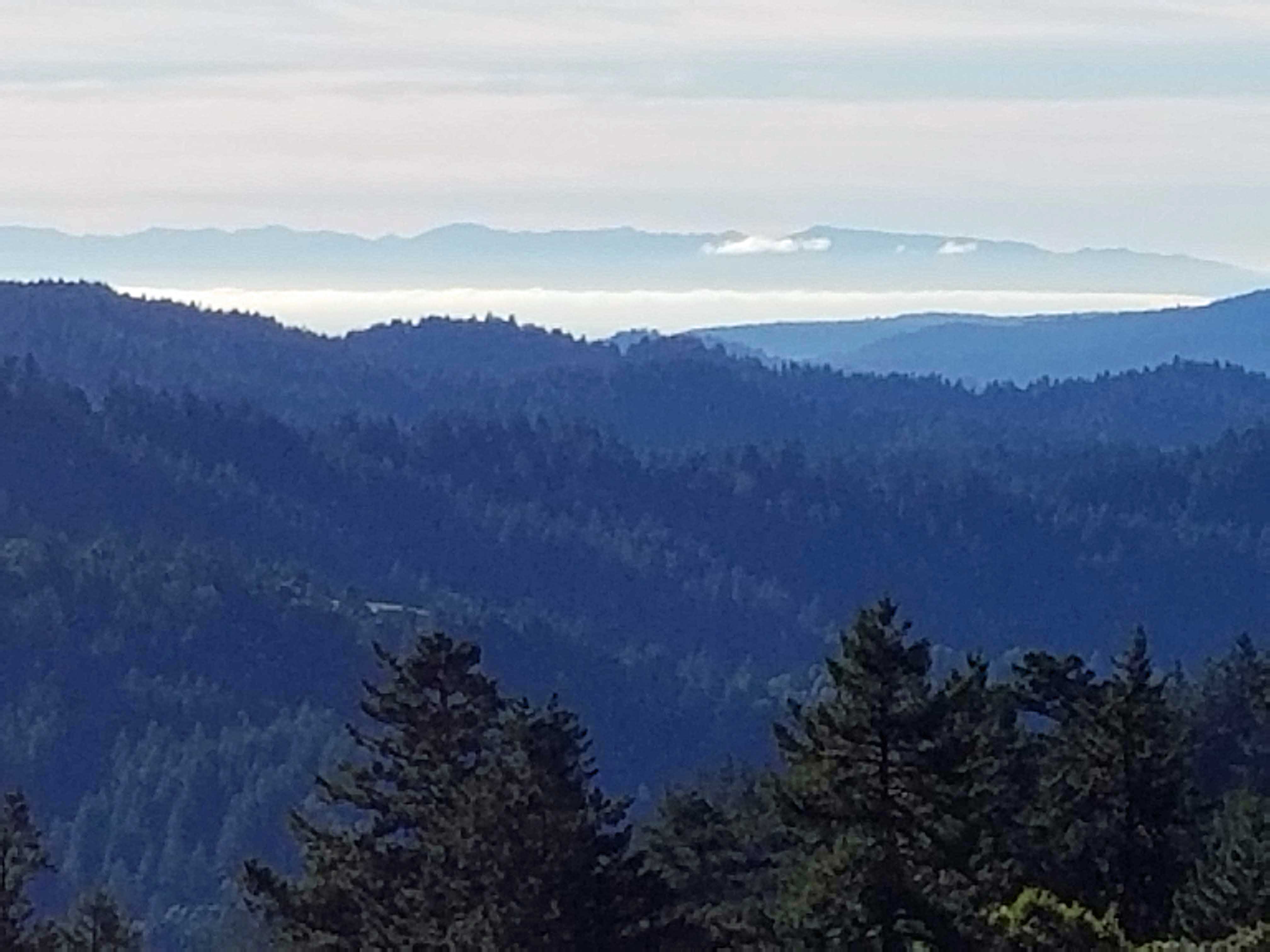 Russian Ridge OSP – Winter 2018 – Sunnyvale-Garden