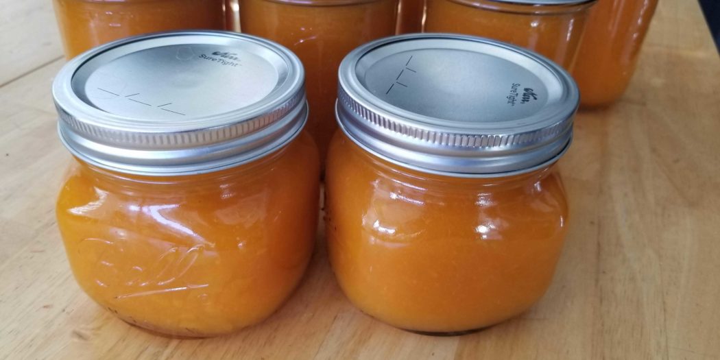Apricot Puree – Sunnyvale-Garden